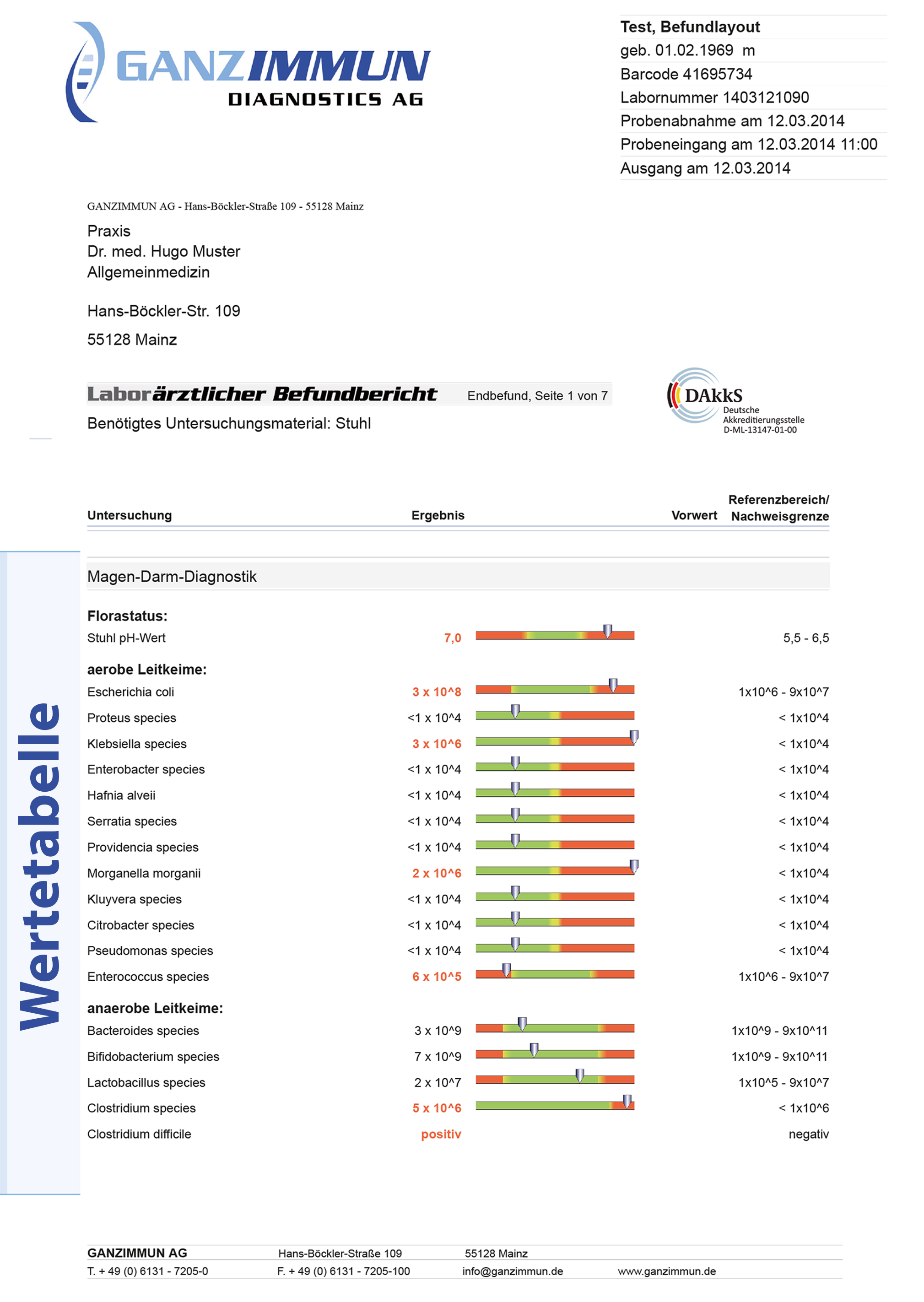 Der ausführliche Laborbefund